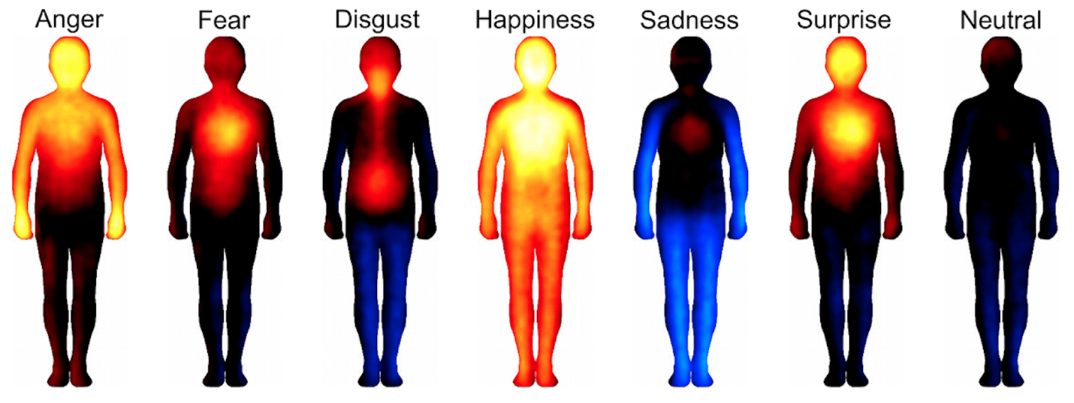 NUMMENMAA LAB – Human Emotion Systems Laboratory