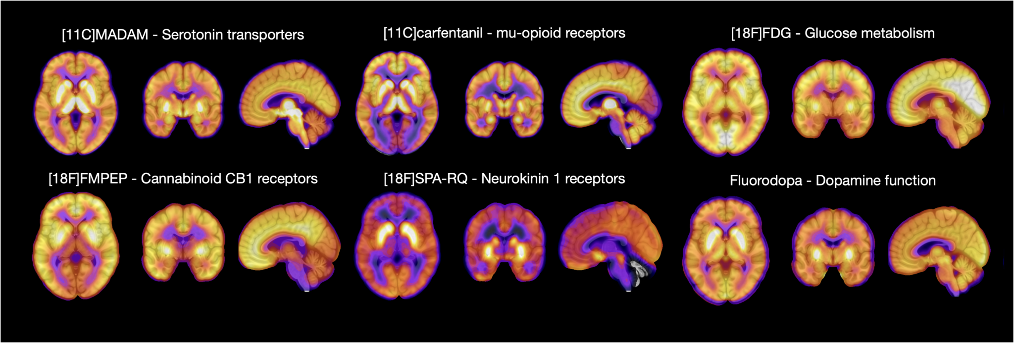 Turku PET Centre Brain Imaging Course 2024 – NUMMENMAA LAB